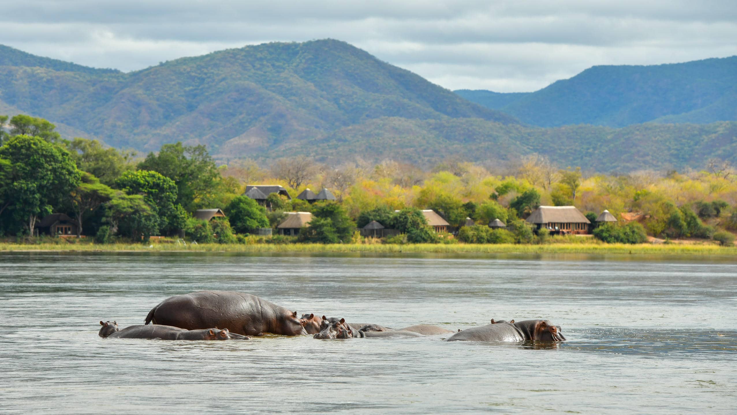 Royal Zambezi Lodge | Award-Winning Safari Lodge In Zambia